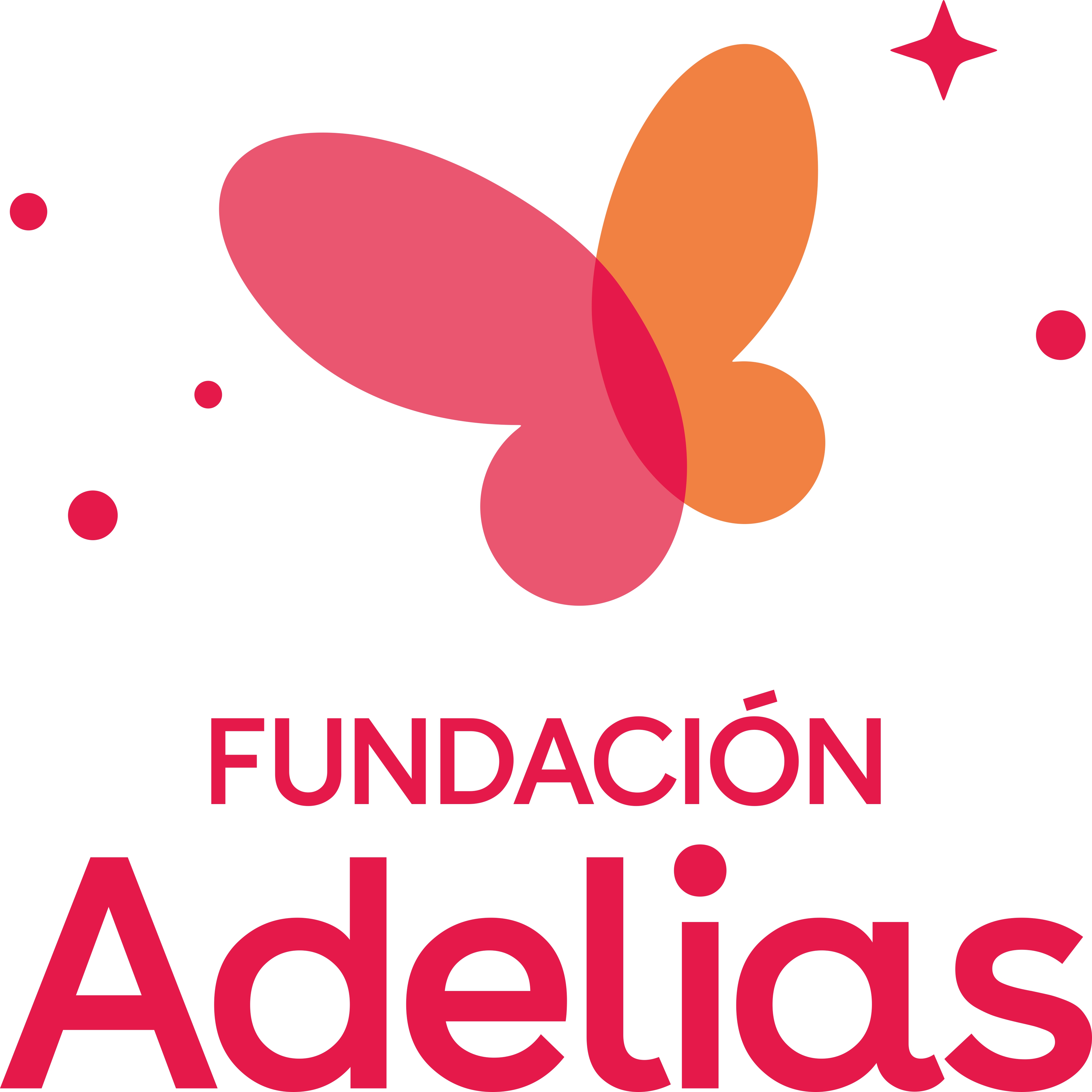 Fundación Adelias | La Fundación
